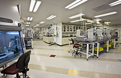 HOME [www.nextgenlifelabs.com]